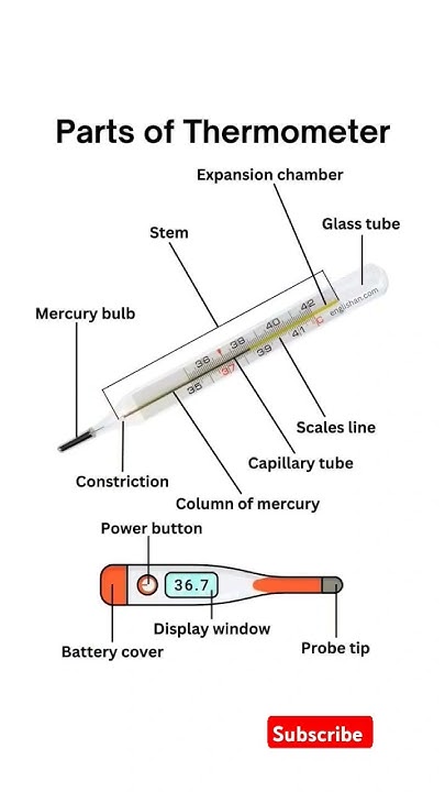 Parts of thermometer 🌡️🌡️🌡️ - YouTube