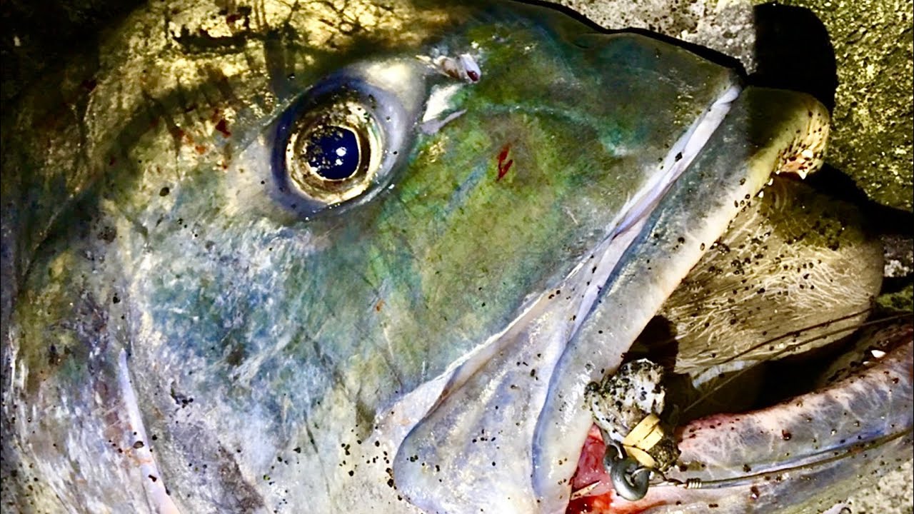 Ulua Fishing Big Island pt.2 - YouTube