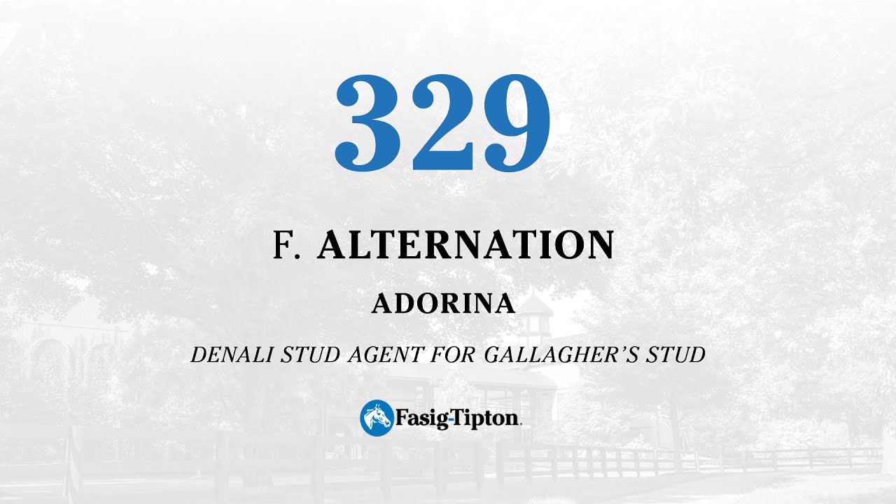 329 YouTube 329-youtube