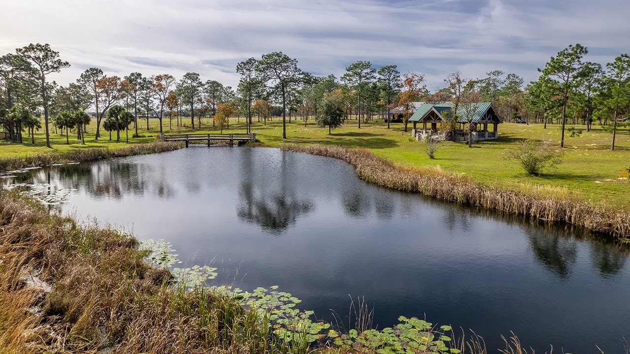 40 Acre Farm For Sale Morriston FL - YouTube