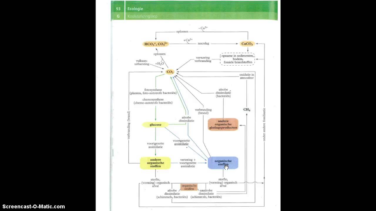 Koolstofkringloop uit Binas - YouTube
