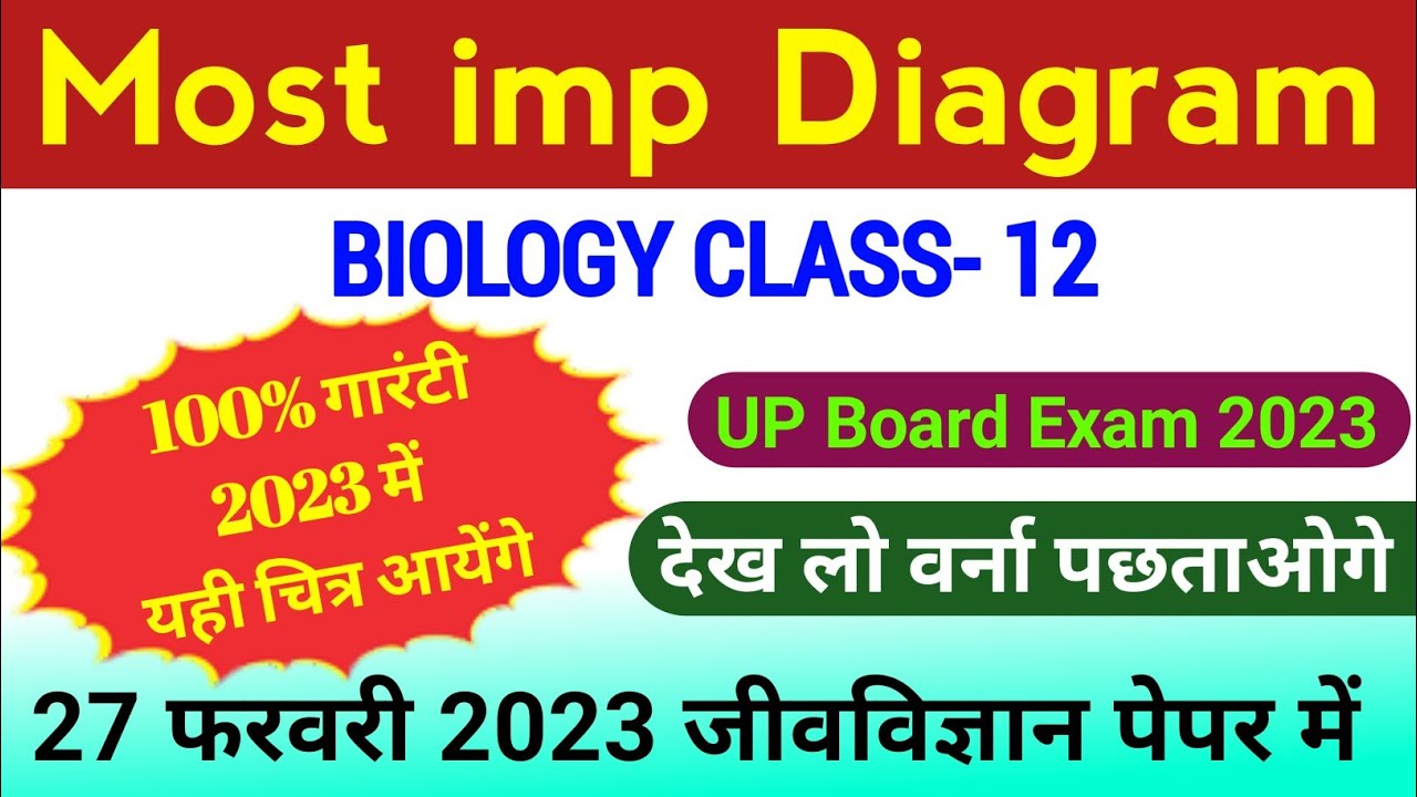 Biology Class 12 Important Diagrams Class 12 Biology Ke Important biology-class-12-important-diagrams-class-12-biology-ke-important