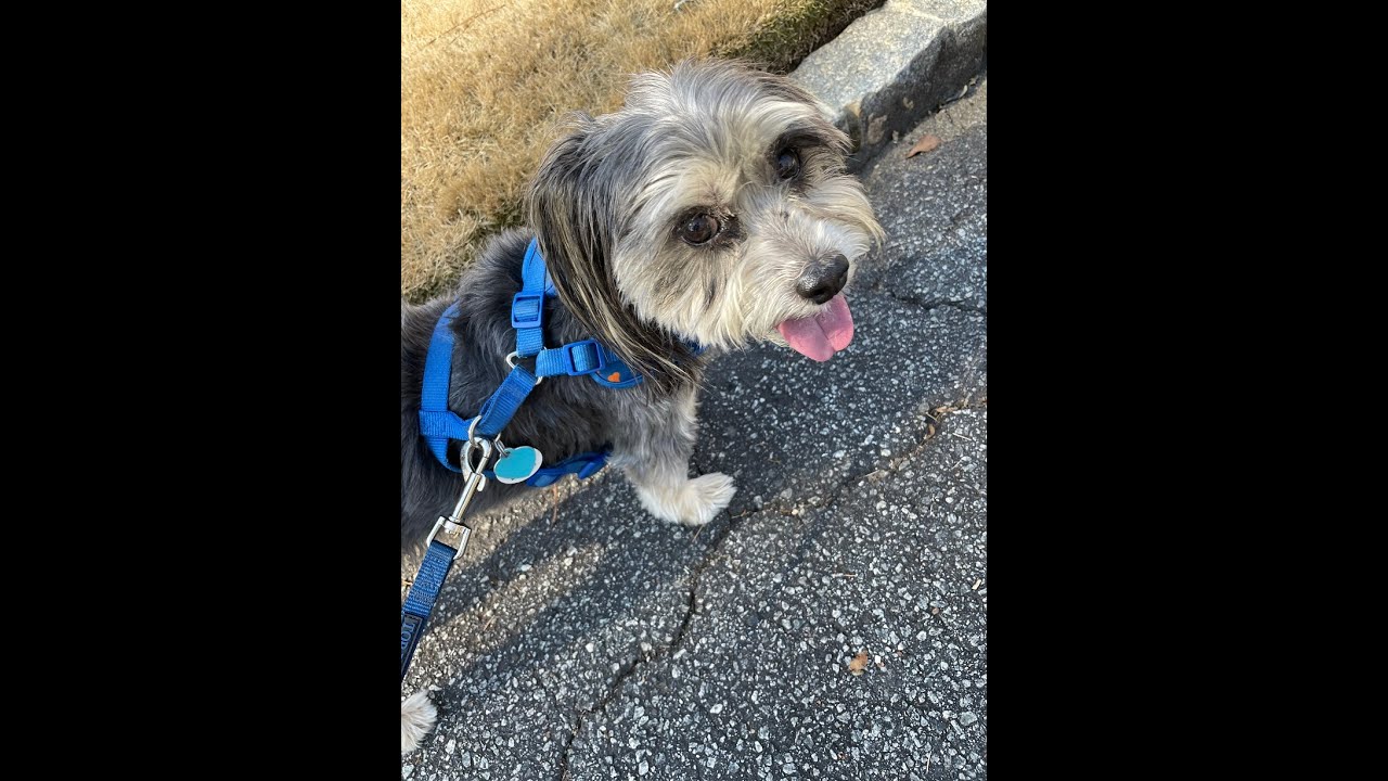 "Empty Pockets Full of Dreams" Bentley's Prototype Cam Studio Sessions. - YouTube