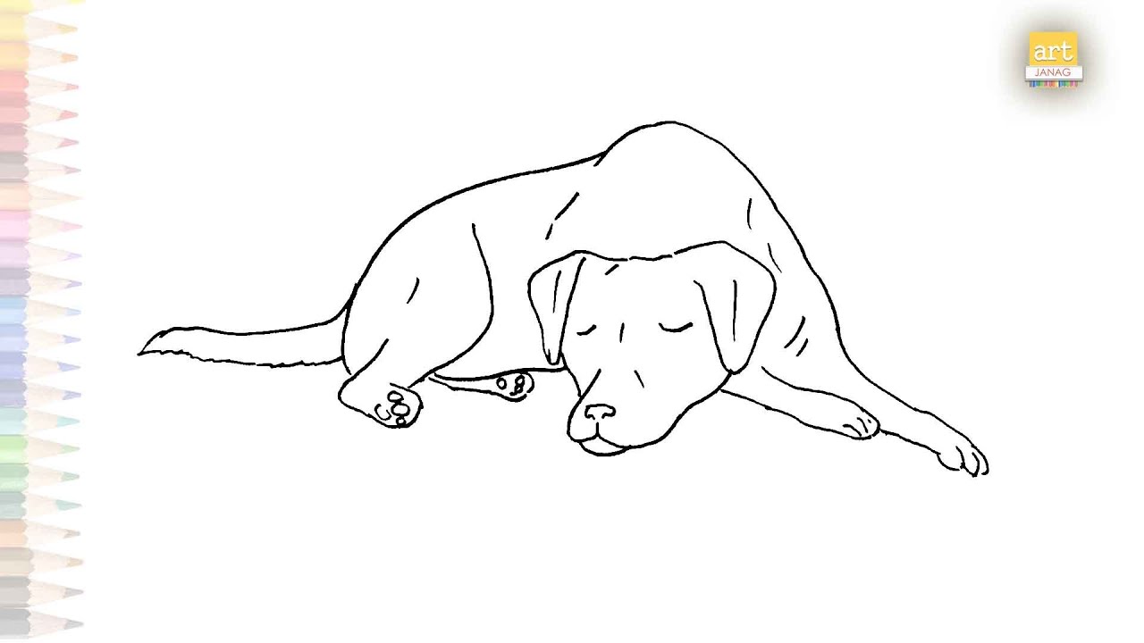 Sleeping Dog drawings | Outline drawings | How to draw A Dog in ...