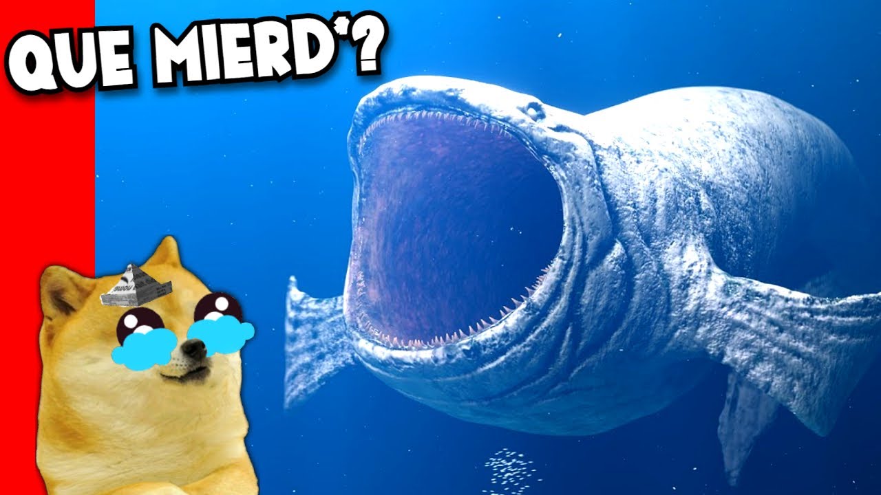 The Bloop captado en CAMARA en la VIDA REAL - Juegos con cheems - YouTube