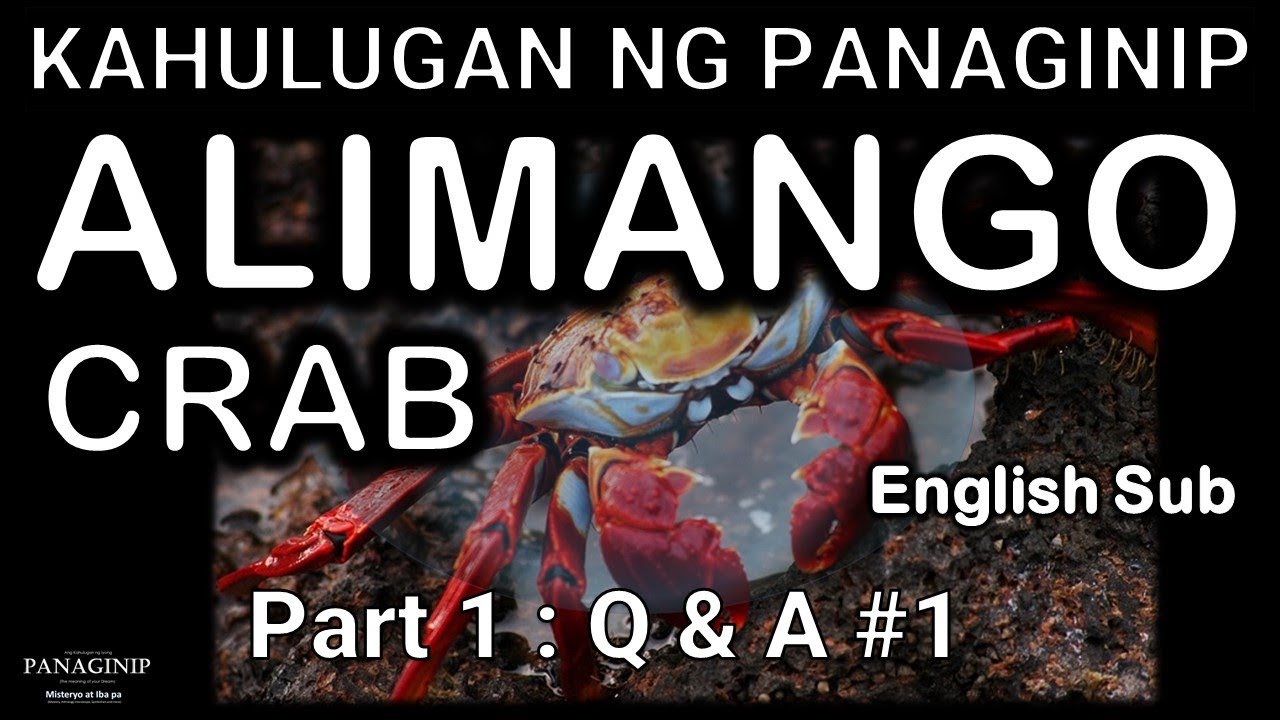 Kahulugan ng Panaginip na Alimango Q&A #9: Alimango | Crab 🦀 Dream ...
