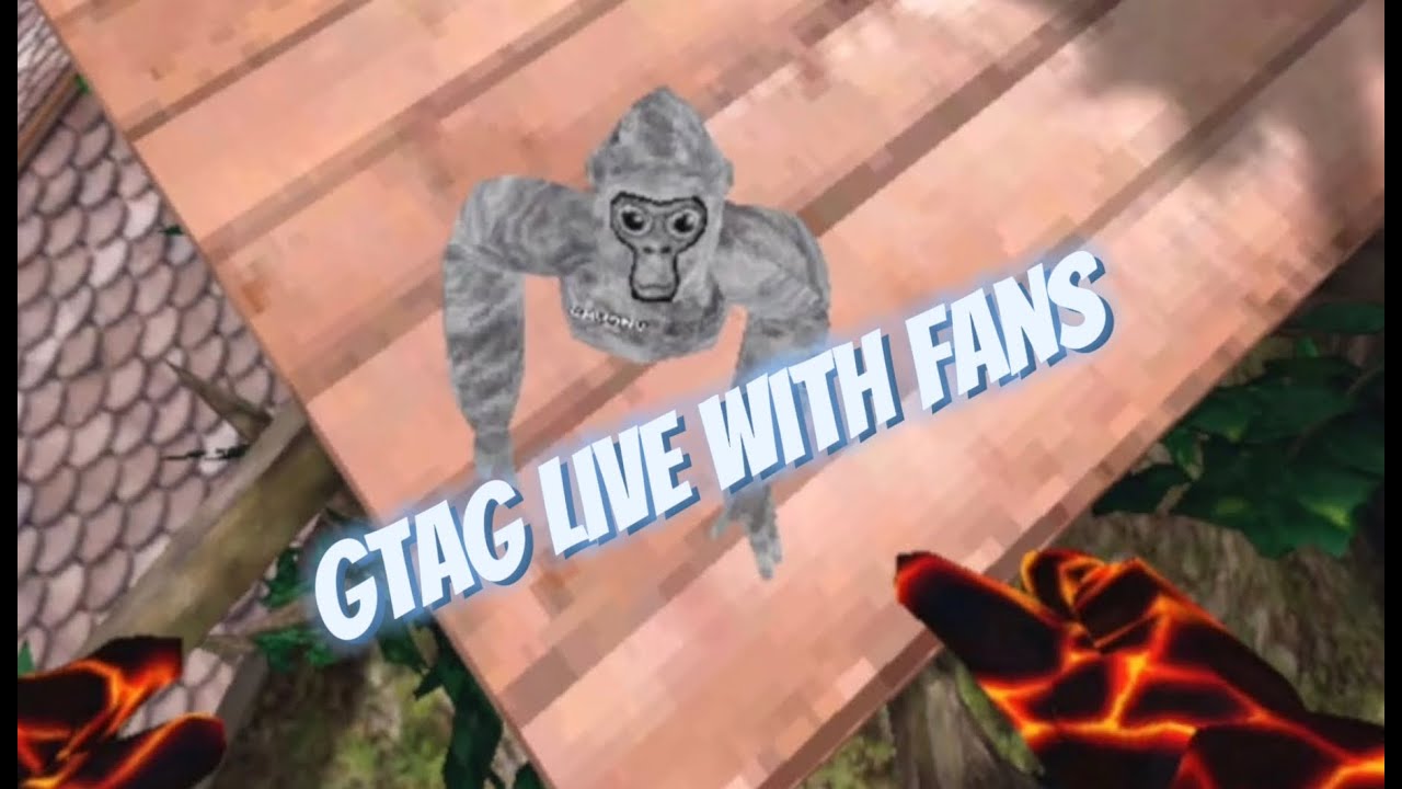 playing gtag with you!!! - YouTube