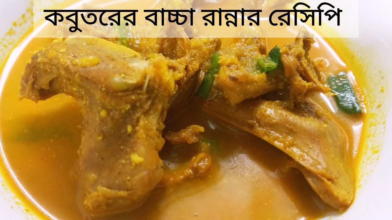 কবুতরের বাচ্চা রান্নার রেসিপি | কবুতরের মাংস রান্নার সহজ পদ্ধতি ...