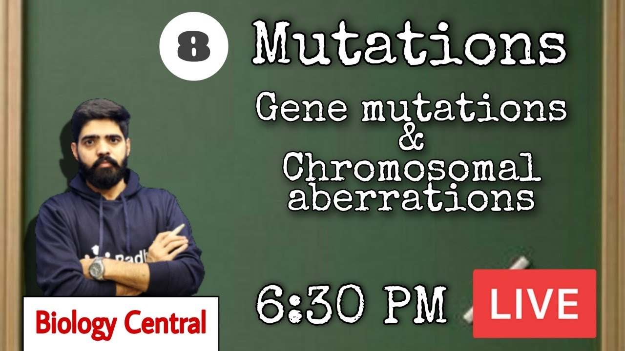 Mutations | one shot | Genetics Class 12 | NEET 2021. - YouTube