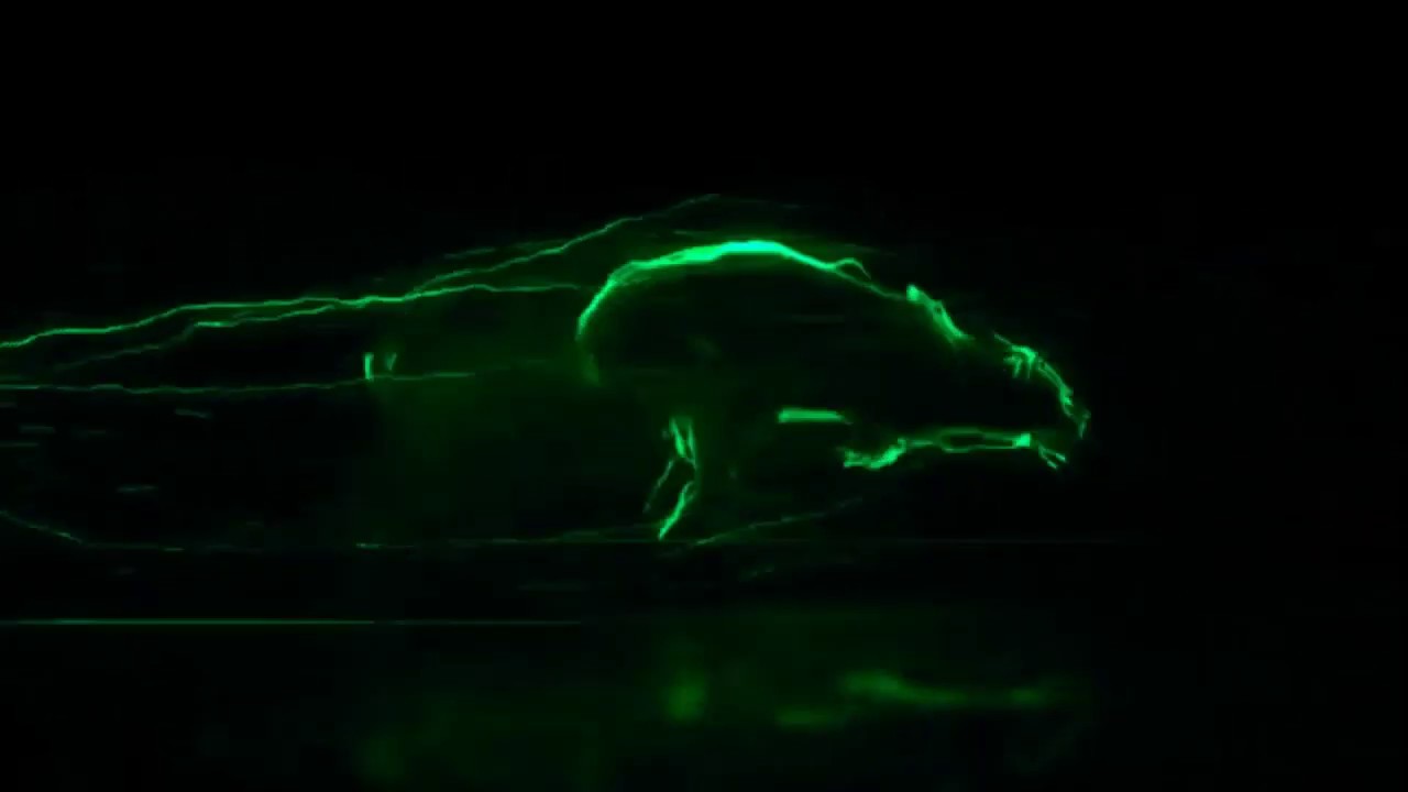 Intro logo animation pour " MKM Transport " - YouTube