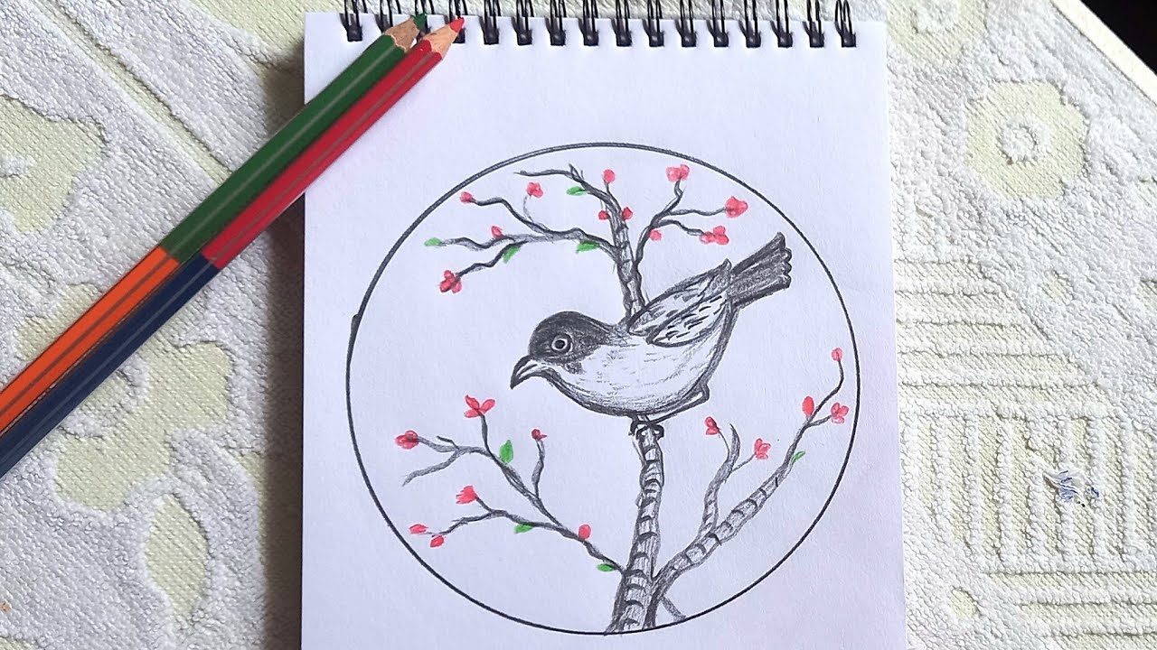 || Bird Drawing In Circle || Bird Drawing Easy || #birddrawingeasy # ...