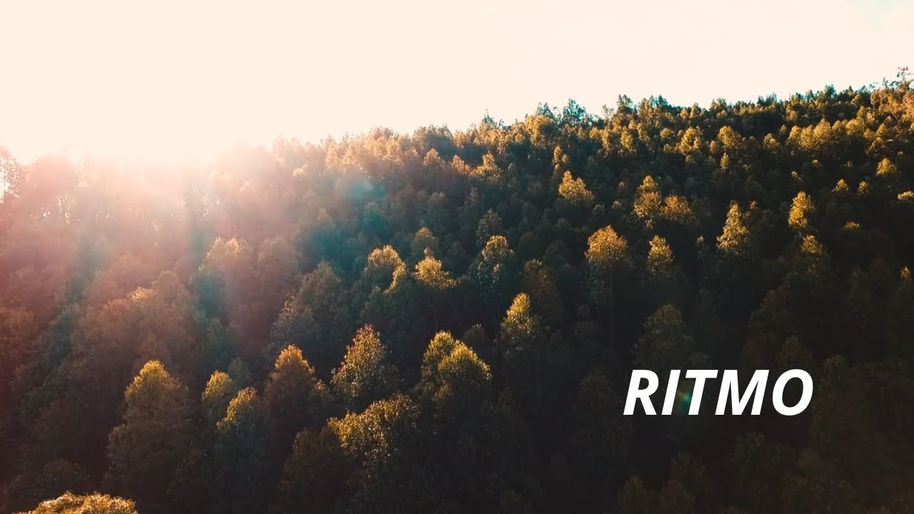 Ritmo Instrumental Music Play!!! - YouTube