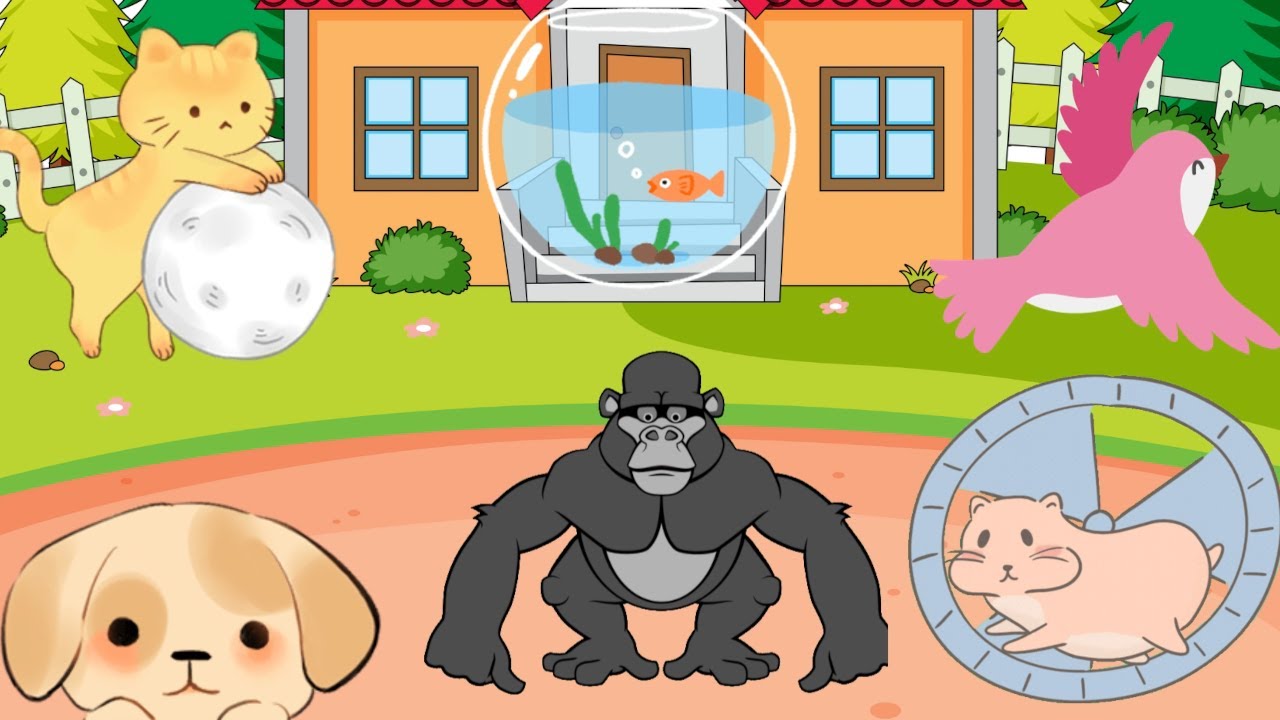 Fun and Educational Pet facts for Kids Animation - YouTube