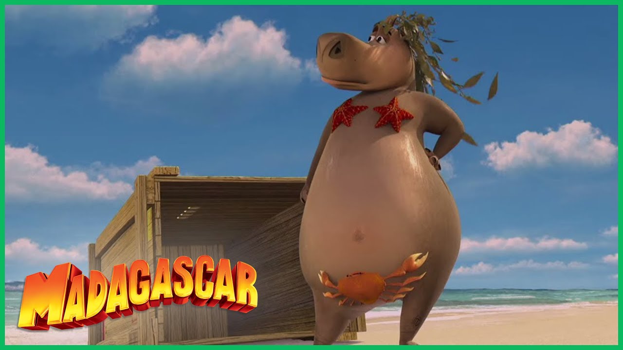Melhores momentos de Gloria | DreamWorks Madagascar em Português ...