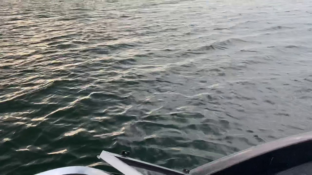 Ranger 397V fish ski quick look - YouTube