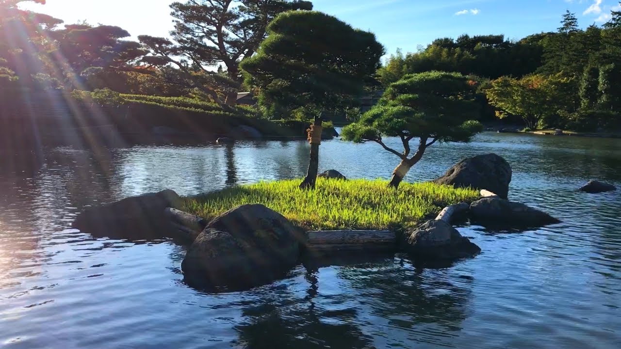A Place of Pure Splendor in Tokyo! [WATCH IN 4K] (Japan Vlog #75) - YouTube