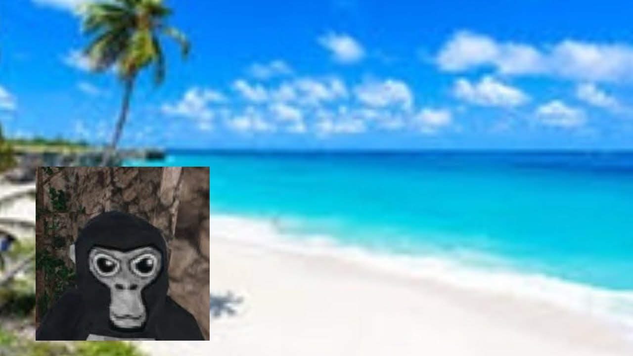 why there is a new update in gtag - YouTube