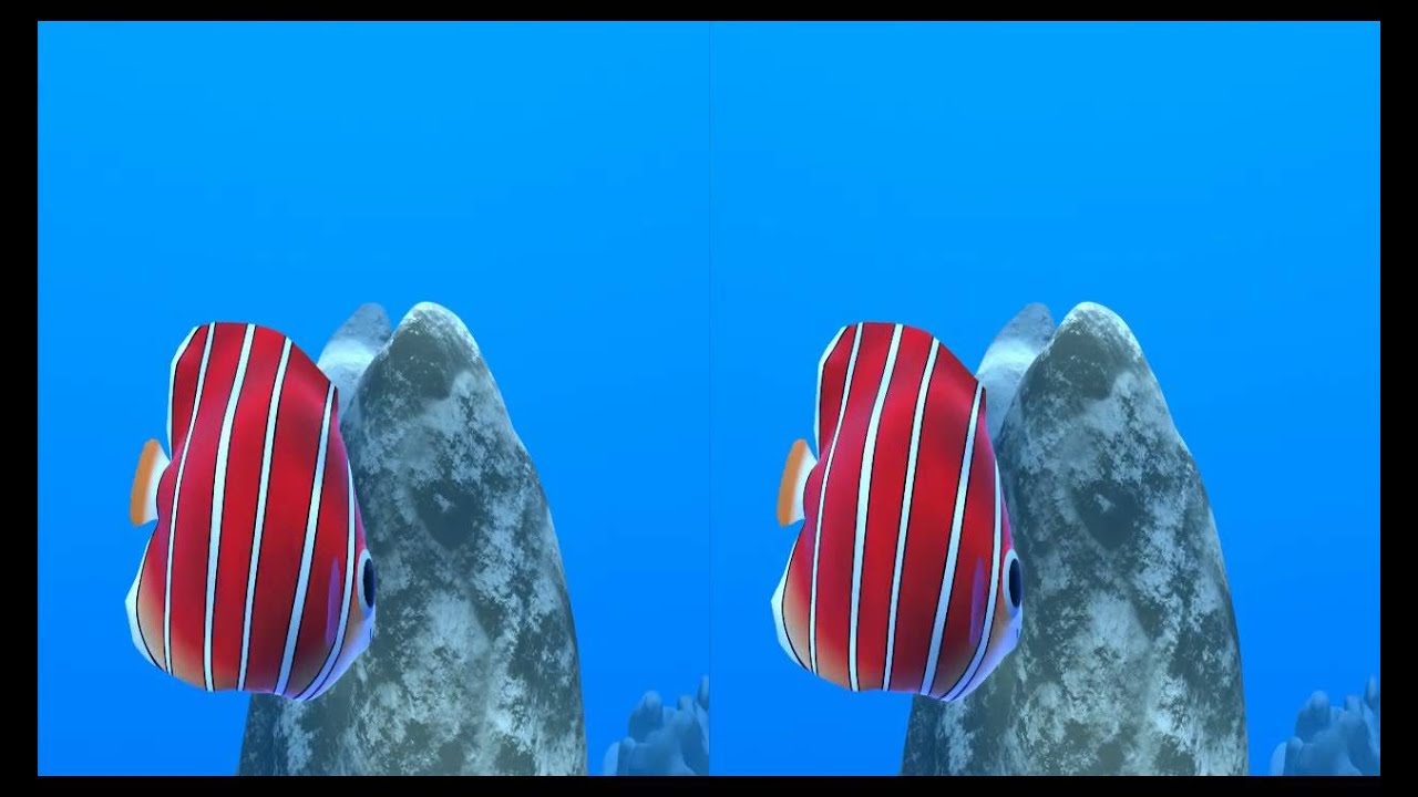 VR 3D stereoscopic : Peppermint angelfish - YouTube