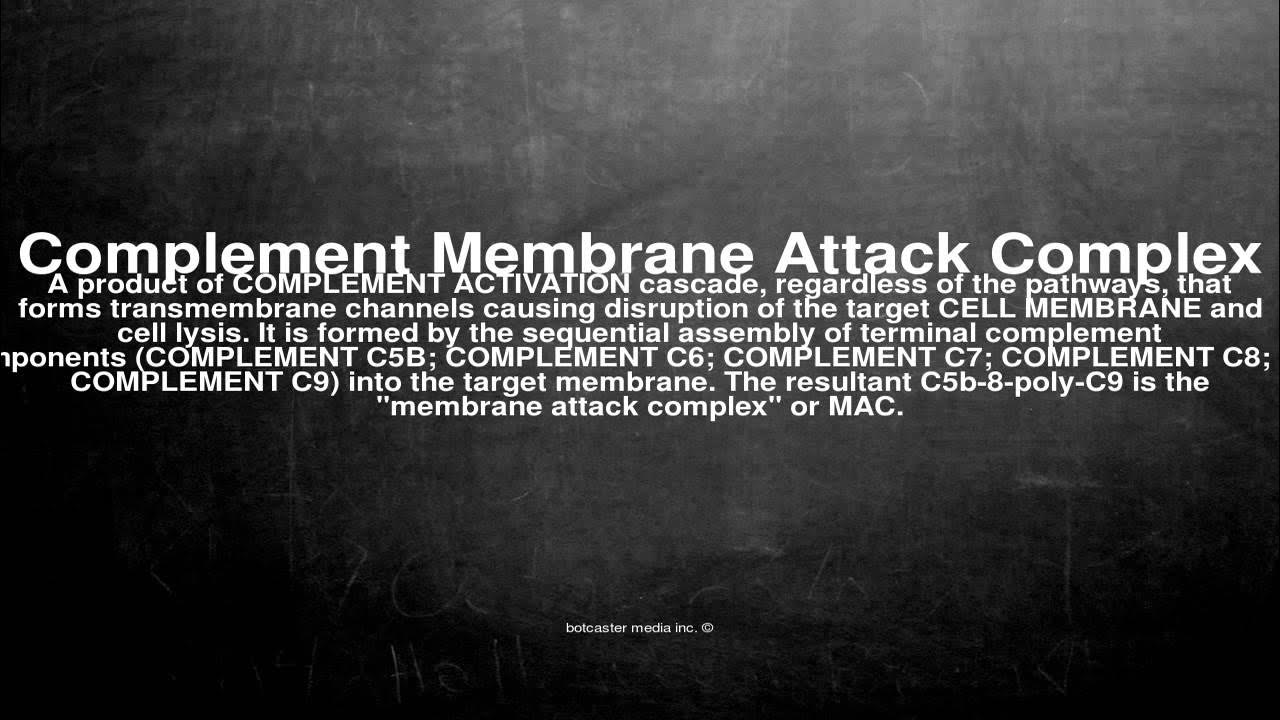 Medical vocabulary: What does Complement Membrane Attack Complex mean ...