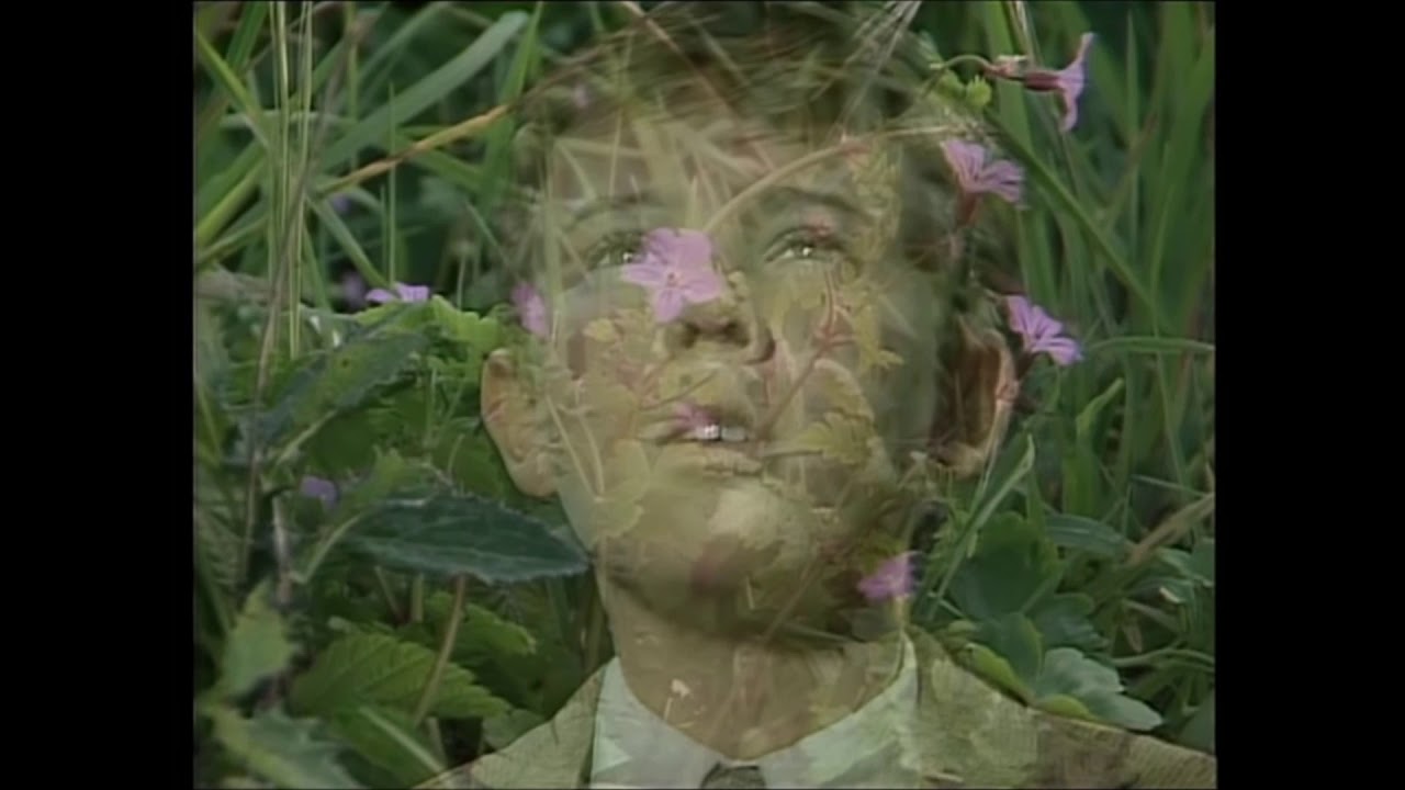 BBC LWW Soundtrack - 31 Aslan is Nearer - YouTube