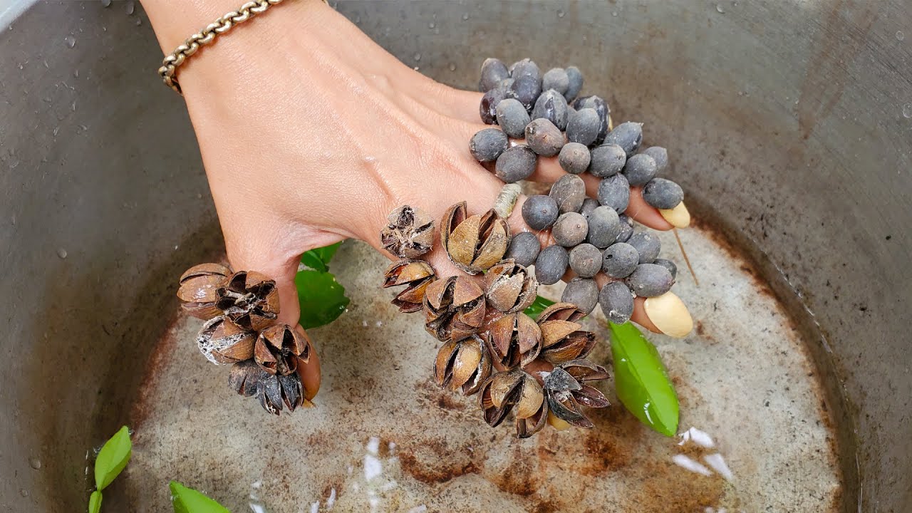 How to get rid of ticks in water - YouTube