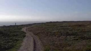 A Fun Sunday Hiking The Wavecrest Trail In Half Moon Bay