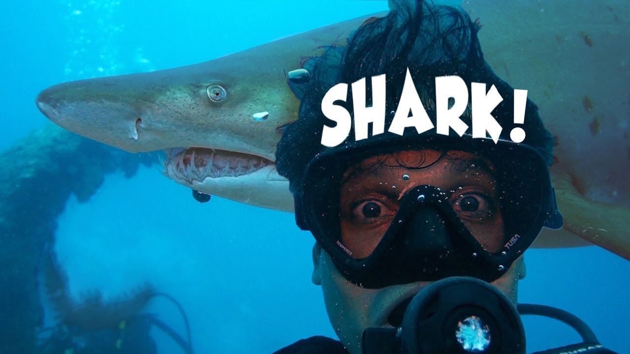 Tokyo Scuba Diving Adventure | OGASAWARA ★ ONLY in JAPAN - YouTube