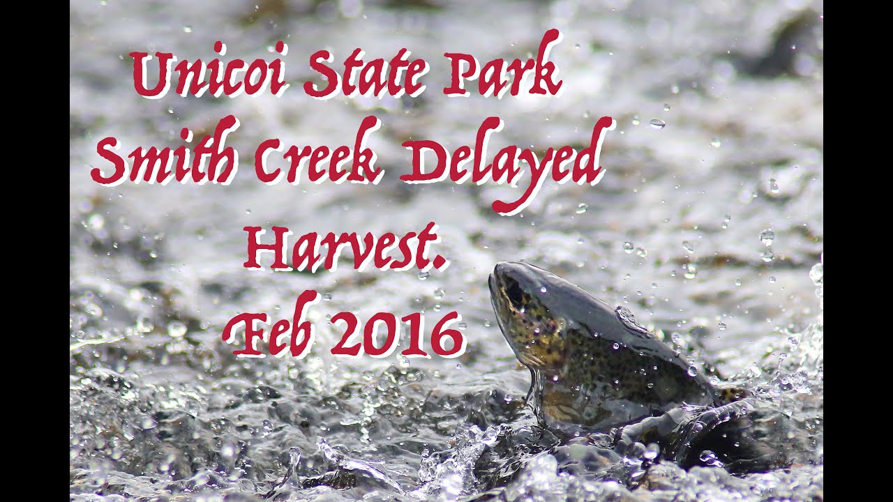 Smith Creek Delayed Harvest Part 2 - YouTube