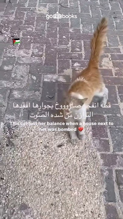 Allah جَلَّ جَلَالُه‎ Is Indeed Almighty Capable Of Punishment Youtube