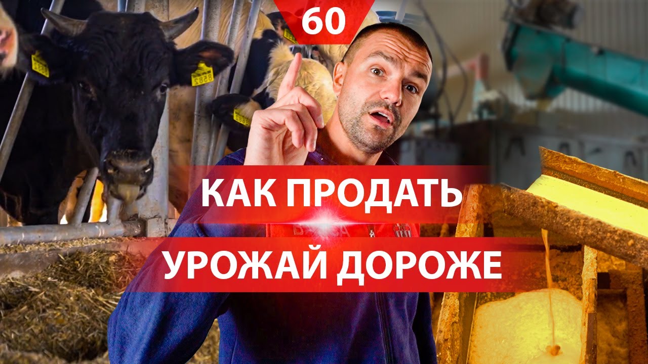 Переработка сои. Как увеличить стоимость урожая? Подготовка почвы ...