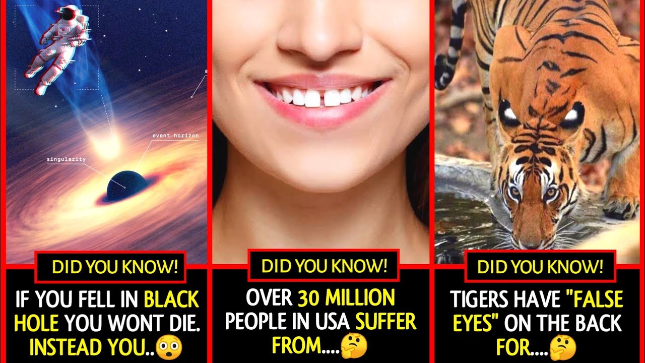 All New Facts That You Should Know 🤩 #41 ~ Unknown Amazing Facts ~ Did ...