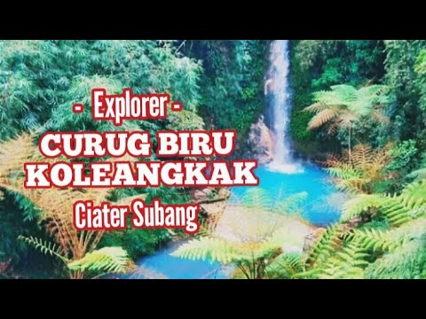 Curug Biru Koleangkak Ciater Subang #curug #curugkoleangkak #curugbiru ...