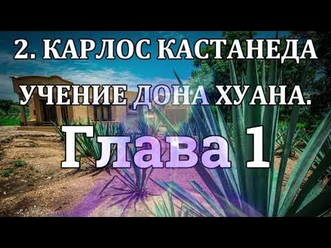 2. Карлос Кастанеда. Первая книга. Учение Дона Хуана. Глава 1 ...