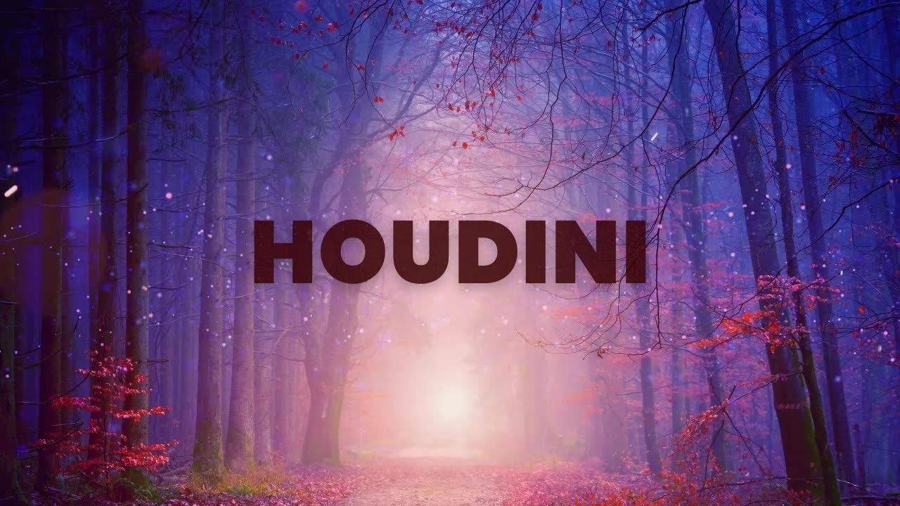 Houdini Dua Lipa lyrics #dualipa #popular - YouTube