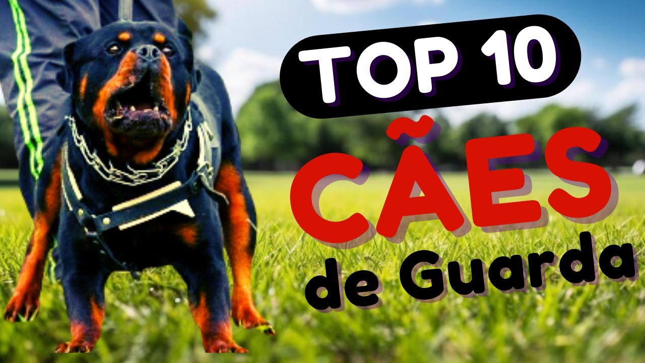 TOP 10 as melhores raças de cães de guarda para proteger sua casa e ...