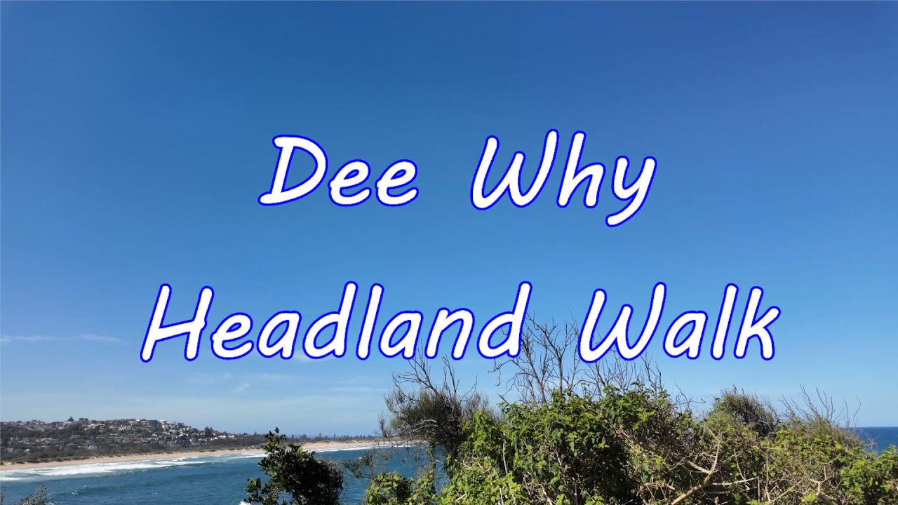 Dee Why Headland Walk 4K - YouTube