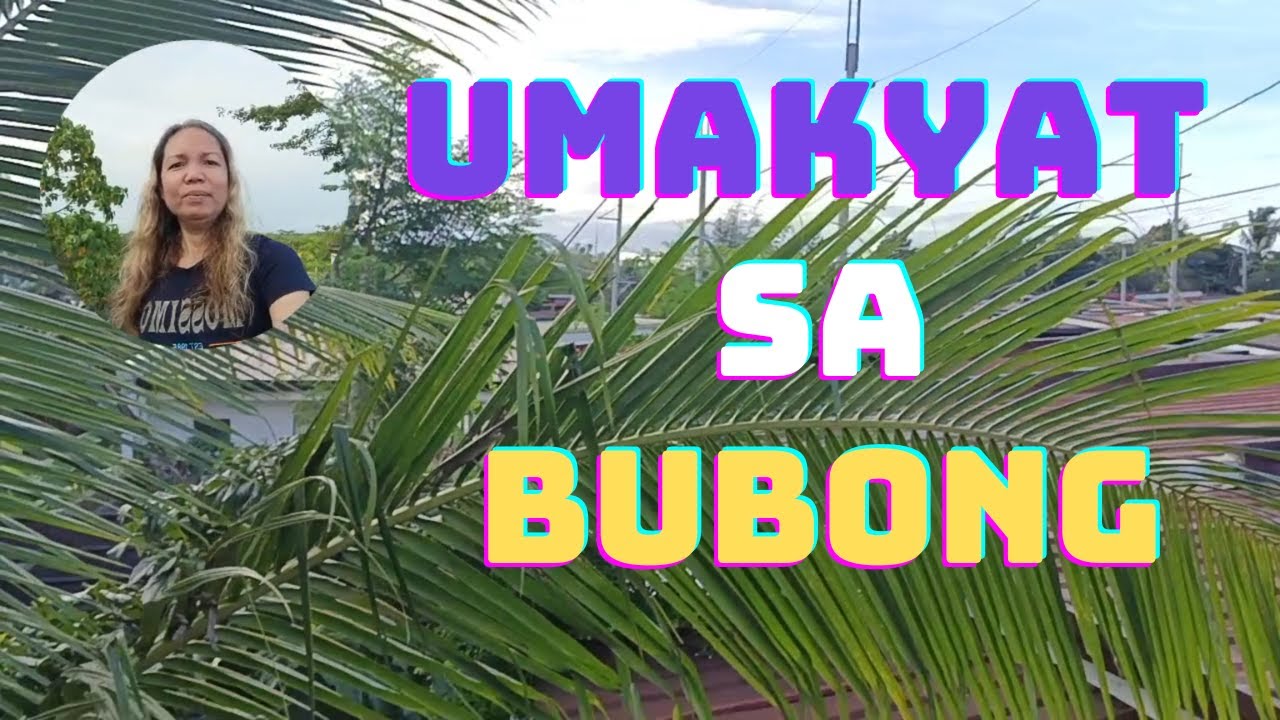UMAKYAT AKO SA BUBONG NG BAHAY / SIMPLICITY VLOG #bubong #bubongngbahay ...
