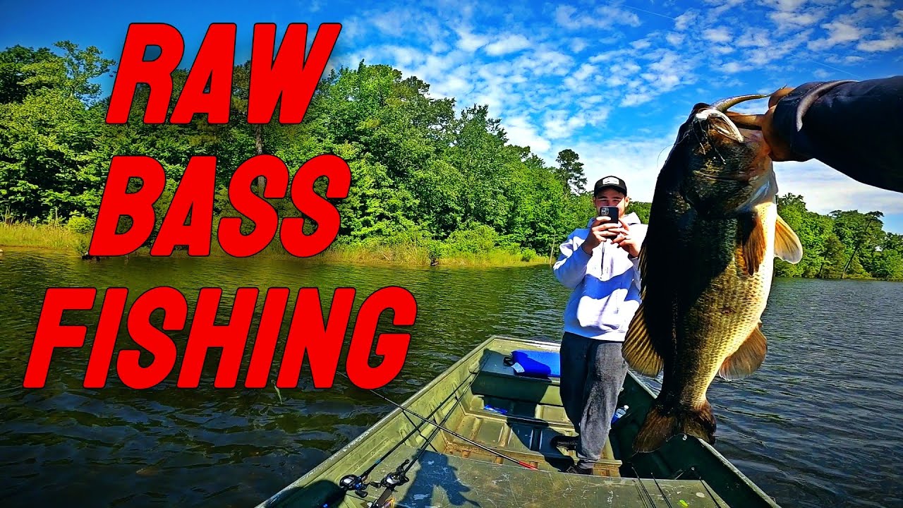 30 minutes of raw bass fishing in Virginia - YouTube