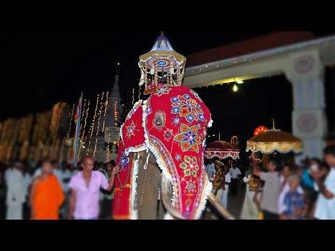 Homagama Poson Perahara | හෝමාගම පොසොන් පෙරහැර 2017 (Part 2) - YouTube