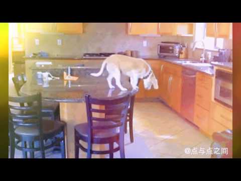 Bugünün En Güzel Gifleri 27 Şubat 2017