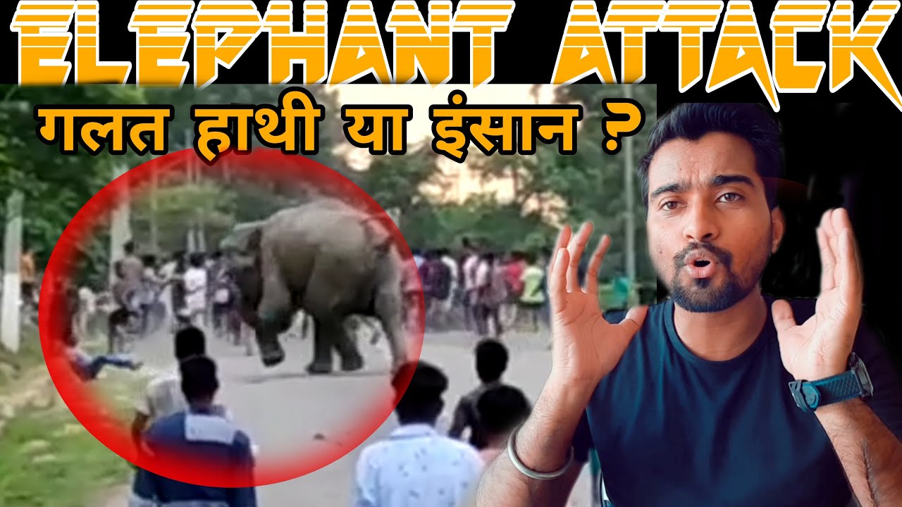 ELEPHANT ATTACK IN ASSAM | ELEPHANT KILLED A MAN | NORTHEAST | GOLAGHAT ...