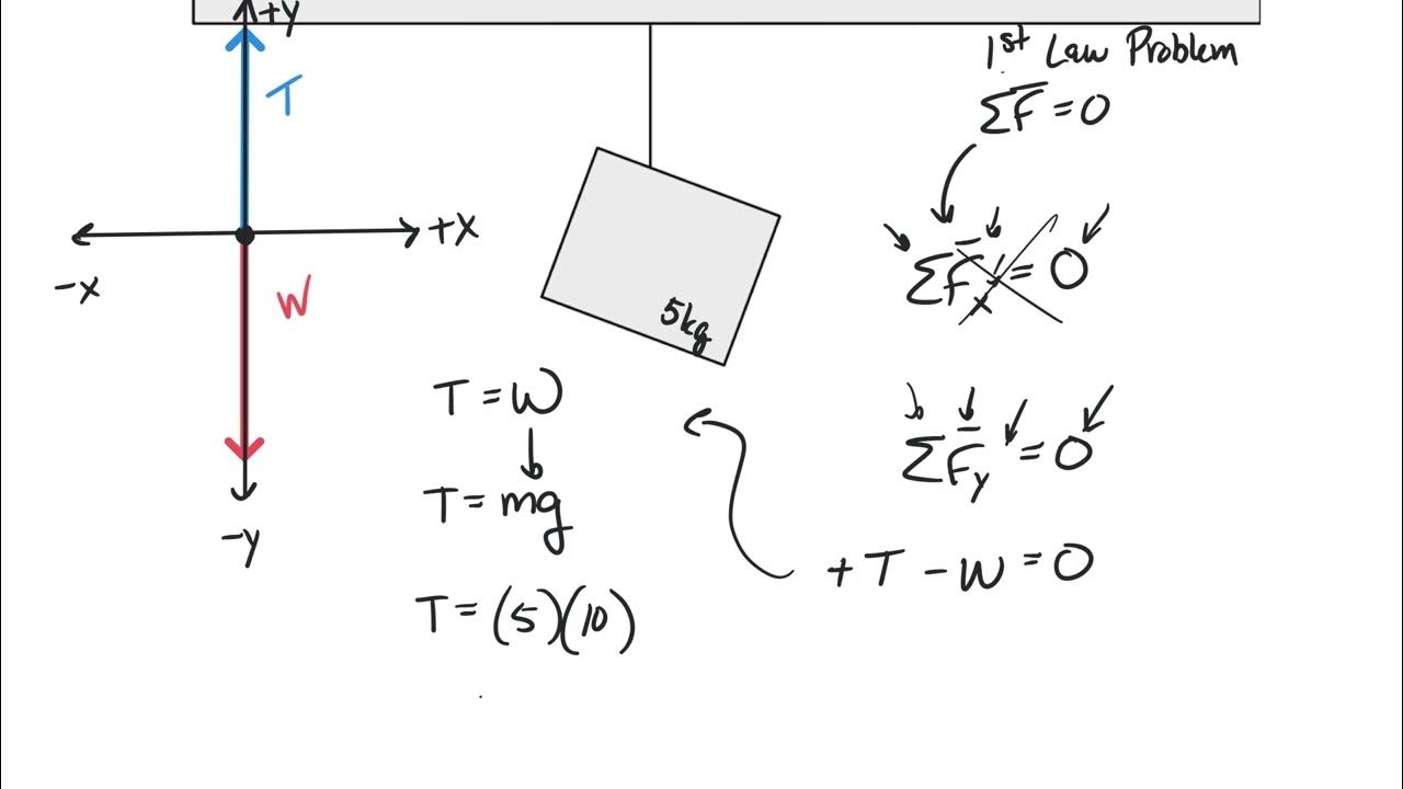 Intro to Newtons Laws AP1 - YouTube