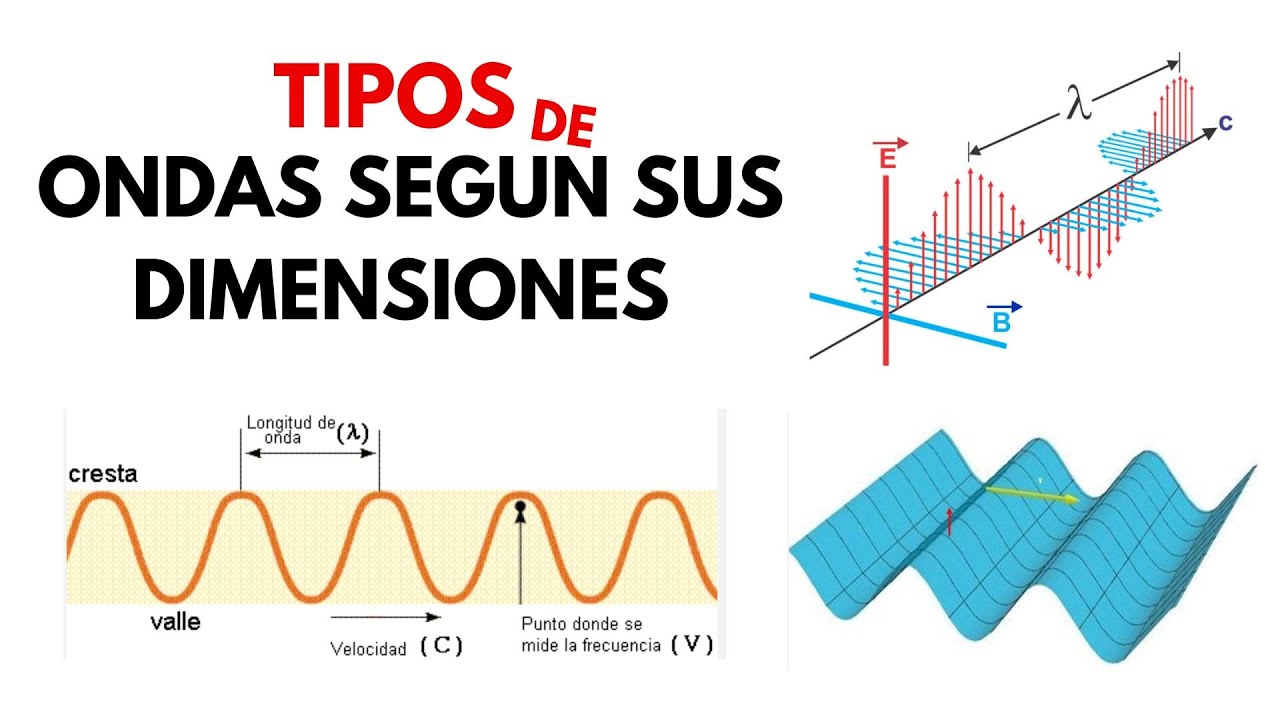 como se clasifican las ondas segun sus dimensiones🌊ONDAS ...