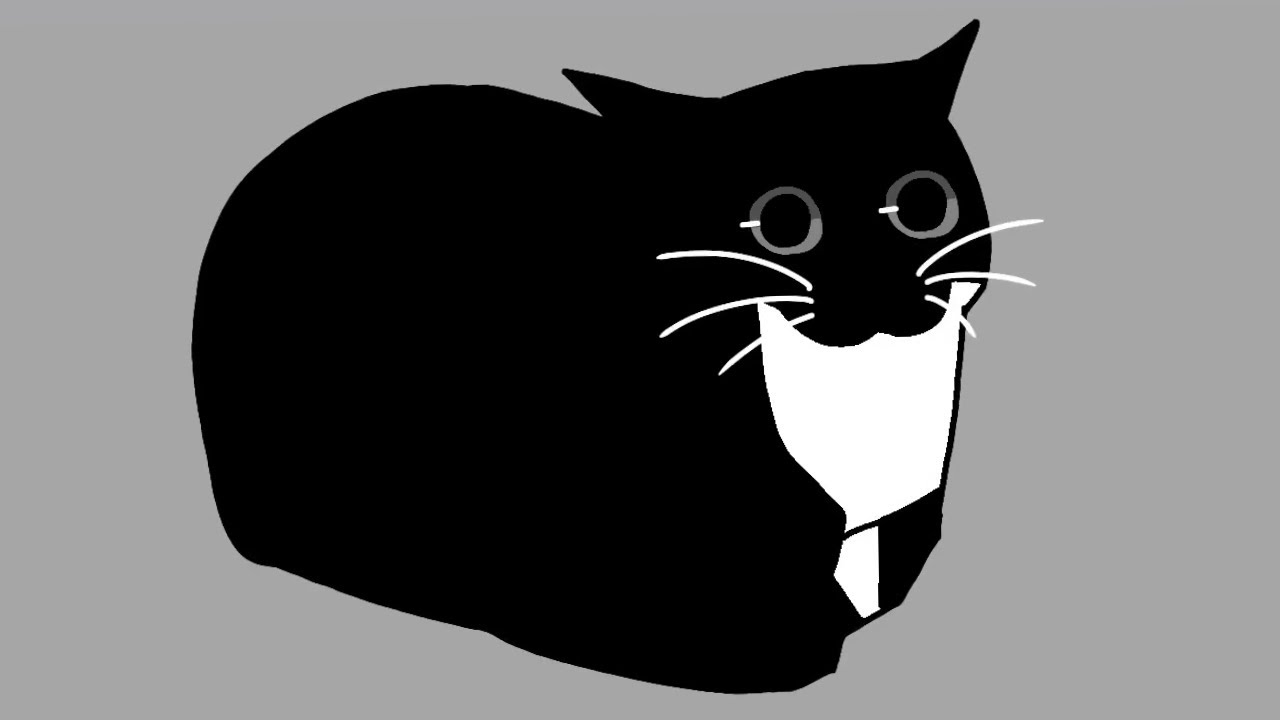 Maxwell Cat dancing for 2 minutes 38 seconds - YouTube