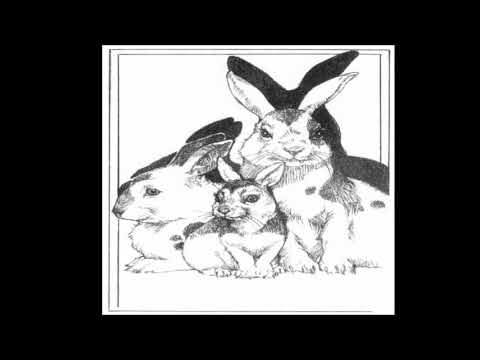 Let's Read: Nighty-Nightmare (Bunnicula Book #4) - Chapter 7 - YouTube
