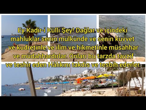 Ey Kadir-i Külli Şey! Dağlar ve içindeki mahluklar... Hâlıkını takdis ve tesbih ederler. #allah #dua