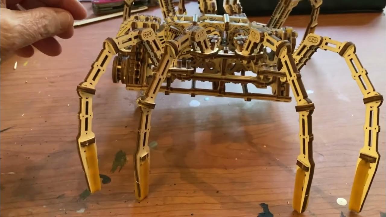 Spider problem - YouTube