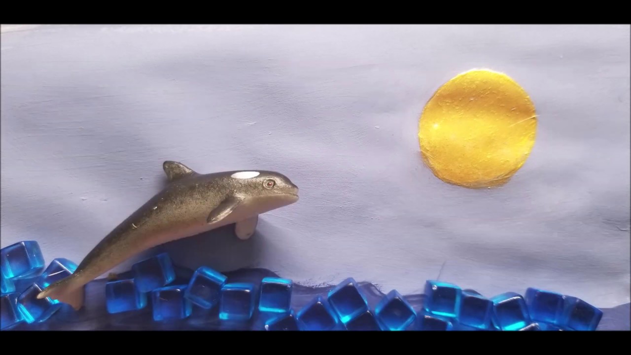 Stop Motion: The Ocean - YouTube