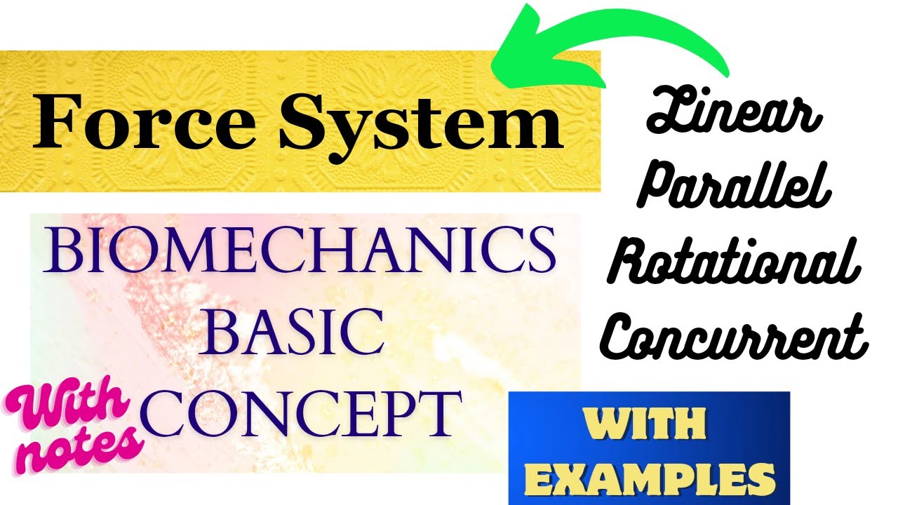 Force system (biomechanics) application in physiotherapy/occupational ...