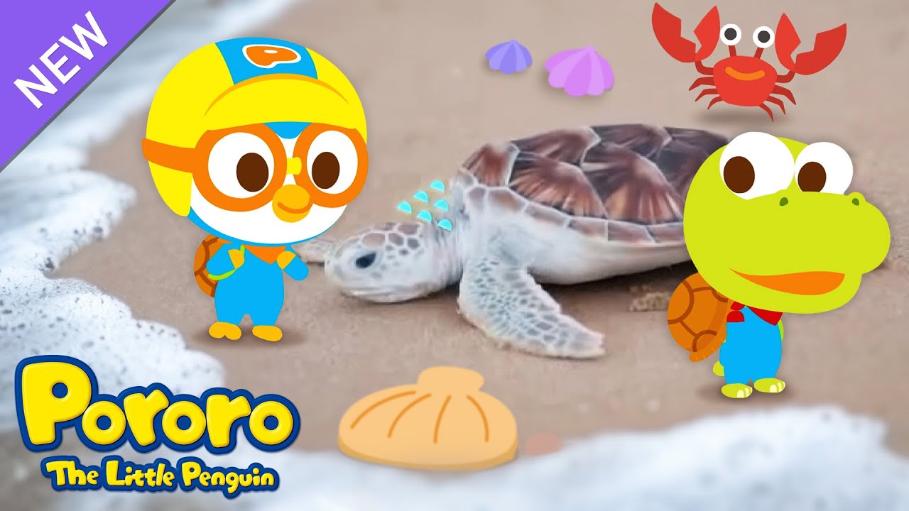 [4K] Pororo Sea Animal Song | We are Sea Turtles🐢 | Animal Song for ...